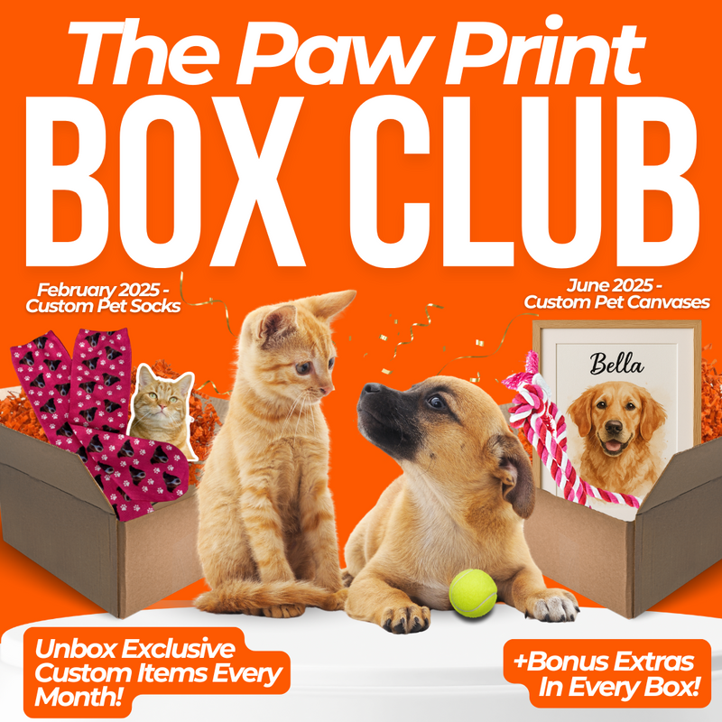 The Paw Print Box Club