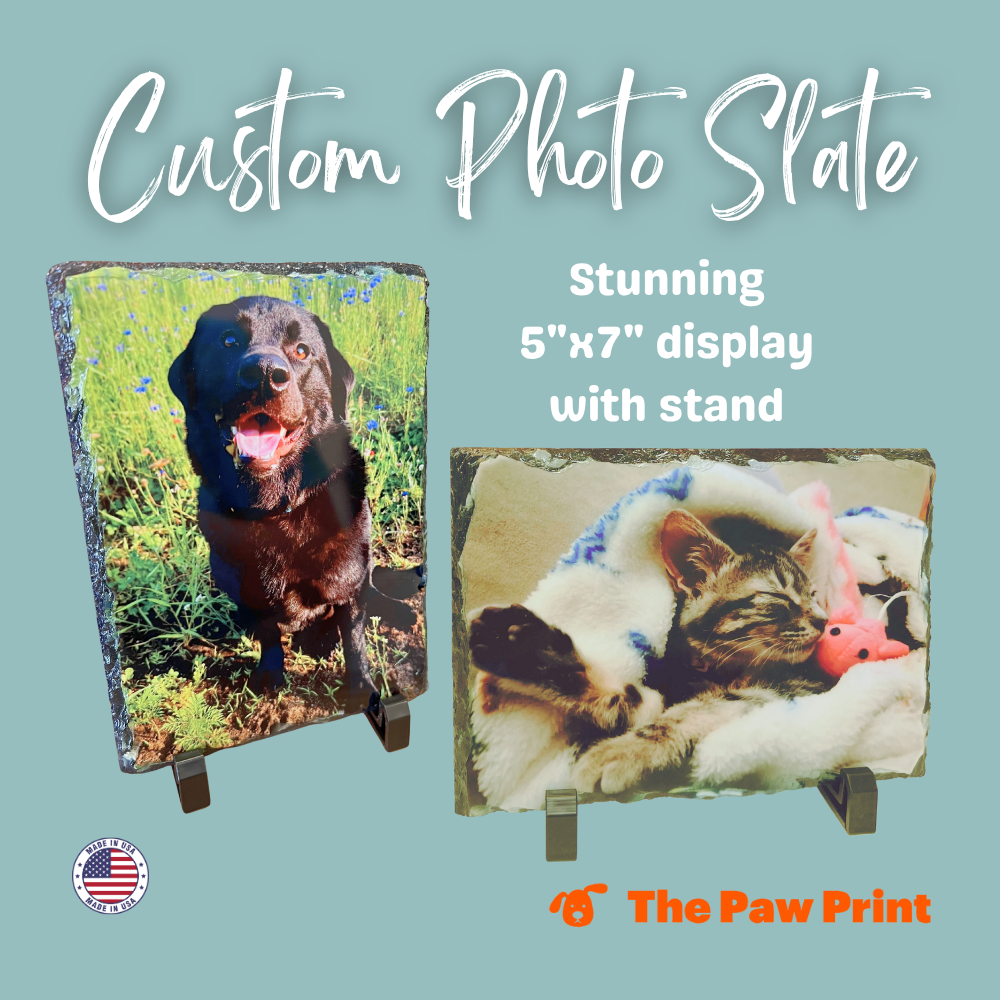 All – Page 4 – The Paw Print